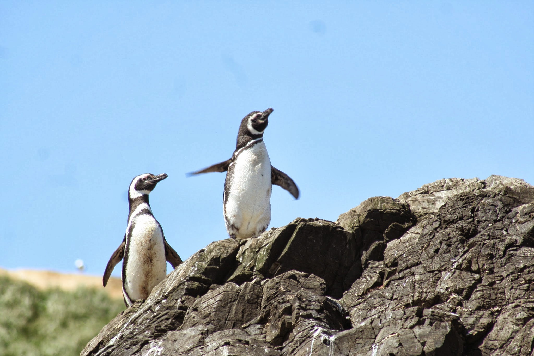 Patagonia Route of Parks Adventure & Cultural Tour